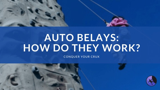 Auto Belays: How Do They Work? | Conquer Your Crux